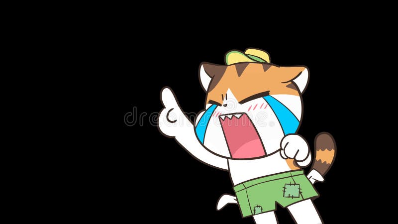 Animated Angry Crying Cat with Transparent Background Stock Video ...