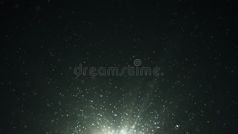 Animated Background Loop - Glowing Particles Rising with Light Rays ...