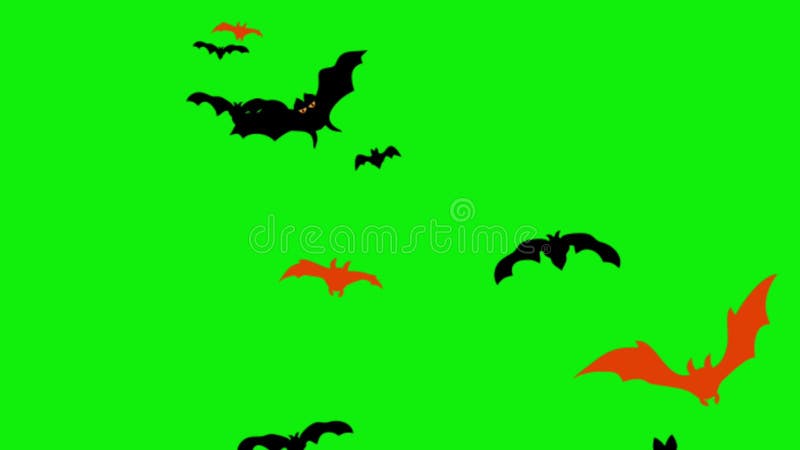 Animated Bat Flying with Green Screen Background Stock Video - Video of ...