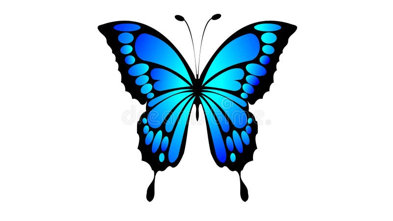 Animated Blue Butterfly - White Background Stock Footage - Video of ...