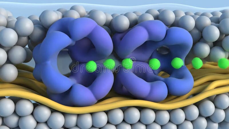 Cellular Process Animation of a Diseased Cell Undergoing Treatment with ...
