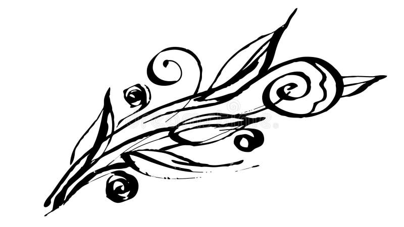 Animated Calligraphy Ink Drawing Botany Stock Video - Video of branch ...