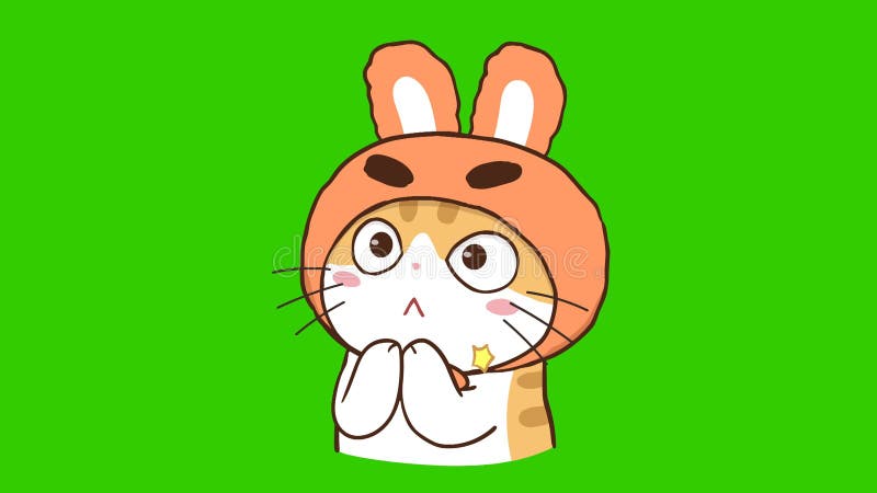 Animated Cat Clapping Congratulations - Green Screen Stock Video ...