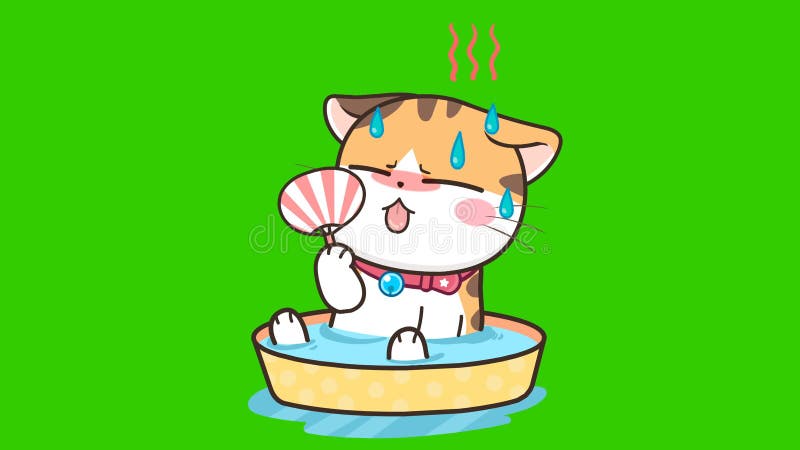 Animated Cat Cooling Off in Water on a Hot Day Green Screen Stock ...