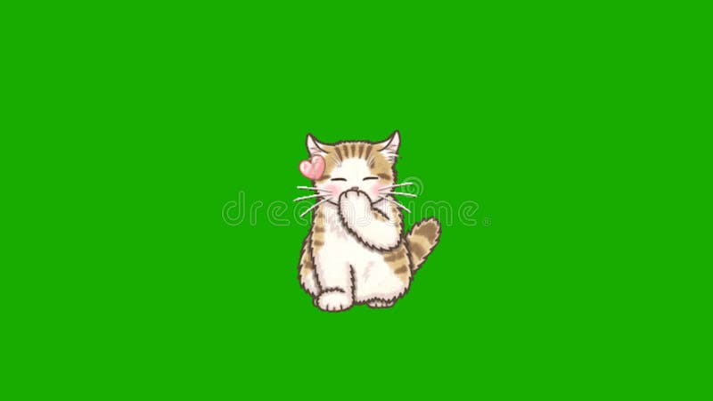 Animated Cat on Green Screen Stock Video - Video of animal, motion ...