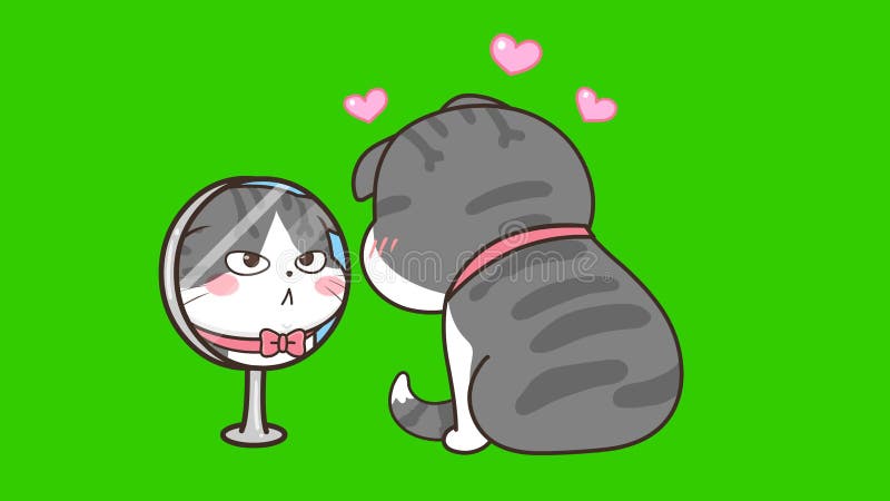 Animated Cat Looking into a Mirror Green Screen Stock Footage - Video ...