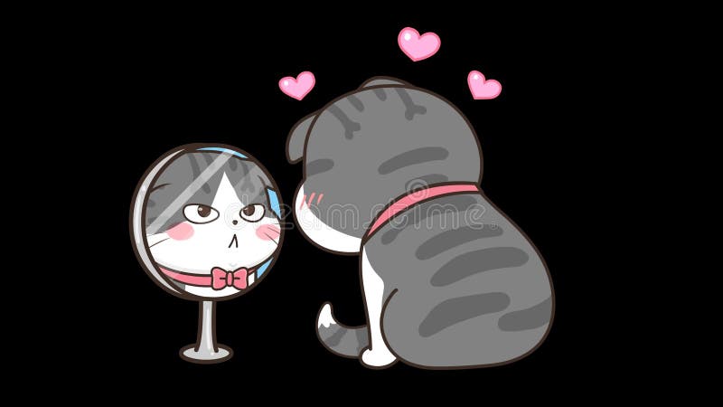 Animated Cat Looking into a Mirror Transparent Background Stock Video ...