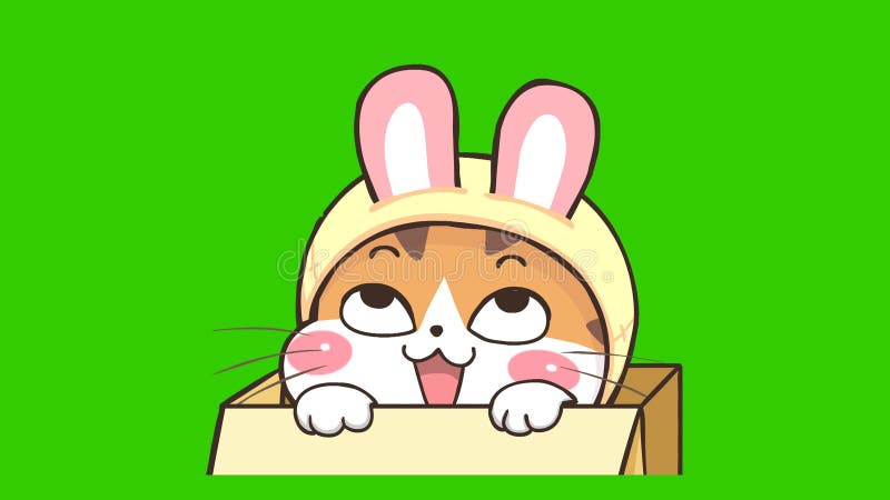 Animated Cat Popping Out of Box - Green Screen Stock Video - Video of ...