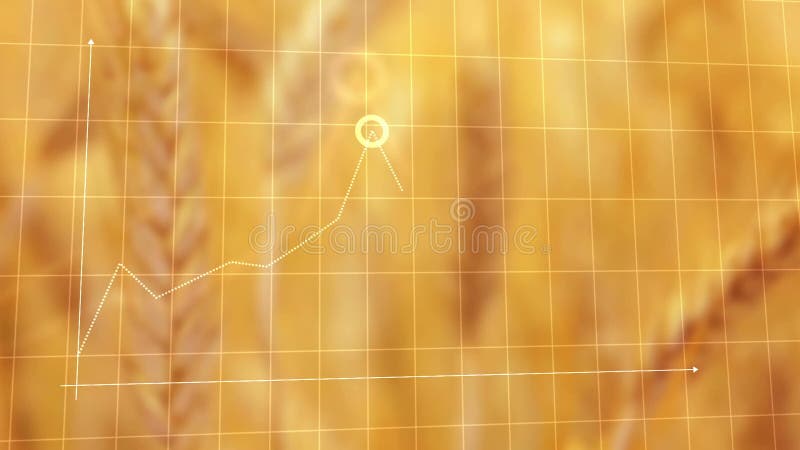 Animated Chart for Wheat Yield in Agricultural Cultivated Field Stock ...