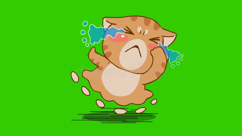 Animated Chubby Cat Scratching Head in Confusion - Green Screen Stock ...