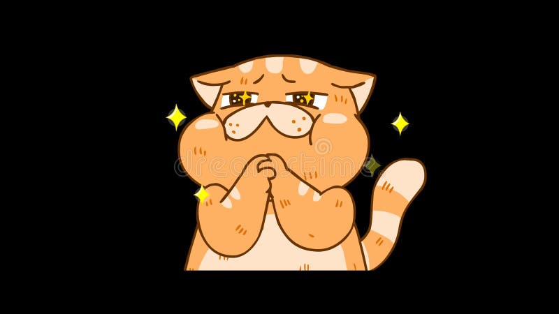 Animated Chubby Cat Impressed with Transparent Background Stock Video ...