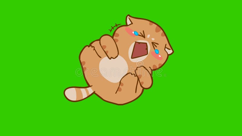 Animated Chubby Cat Laughing and Rolling - Green Screen Stock Video ...