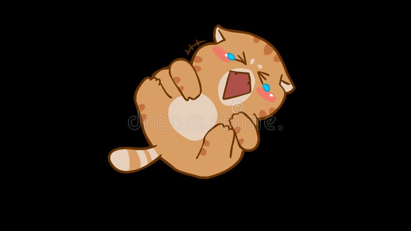 Animated Chubby Cat Laughing and Rolling - Transparent Background Stock ...