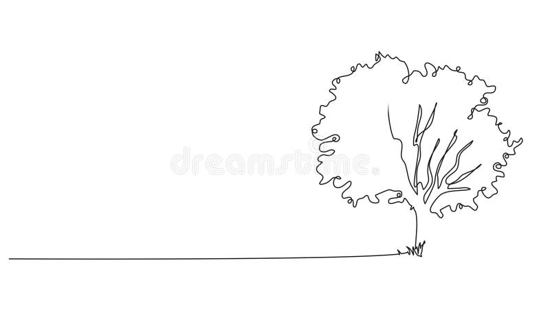 Animated Continuous Single Line Drawing of Broadleaf Tree Stock Footage ...