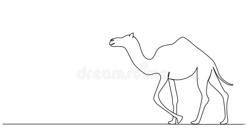 Camel Dromedary Walkcycle Green Screen Desert 3D Rendering Animation ... Camel Dromedary Walkcycle Green Screen Desert 3D Rendering Animation ...