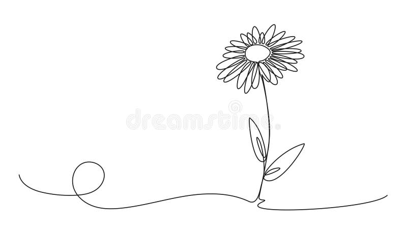 Animated Single Line Drawing of Daisy Flower Stock Footage - Video of ...