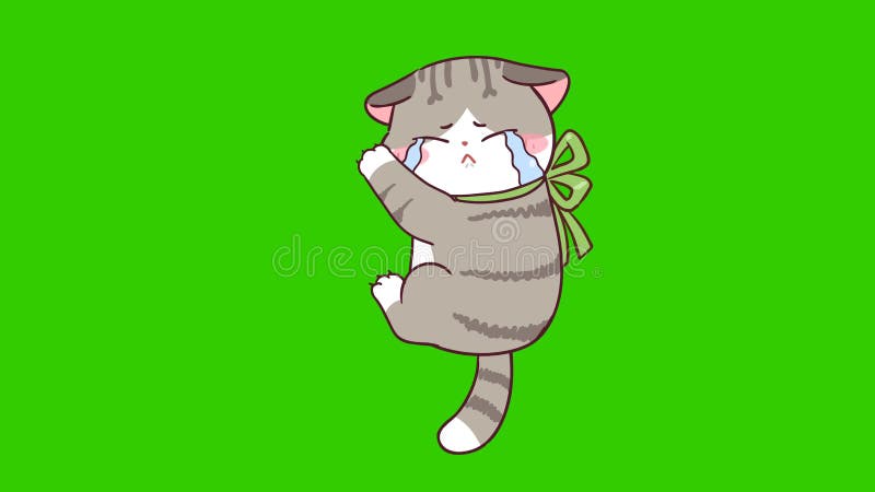 Animated Fat Cat Crying with Tears on Green Screen Stock Footage ...