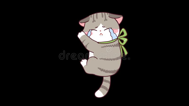Animated Crying Cat with Running Snot - Transparent Background Stock ...