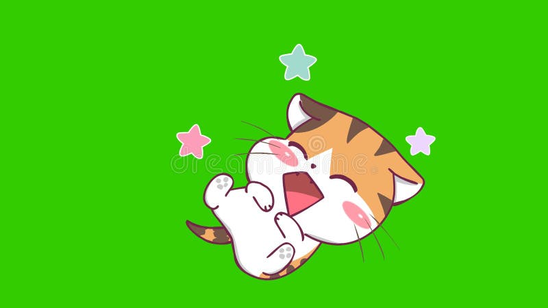 Animated Cute Cat Laughing - Green Screen Stock Video - Video of ...