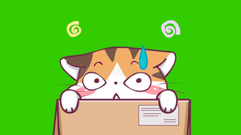 Animated Cute Cat Peeking from Box - Green Screen Stock Video - Video ...