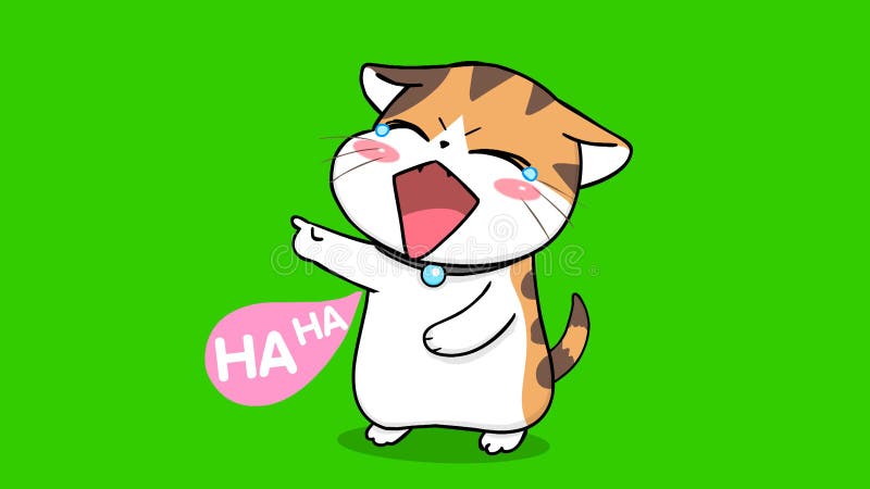 Animated Cute Kitten Laughing Ha Ha Green Screen Stock Footage - Video ...