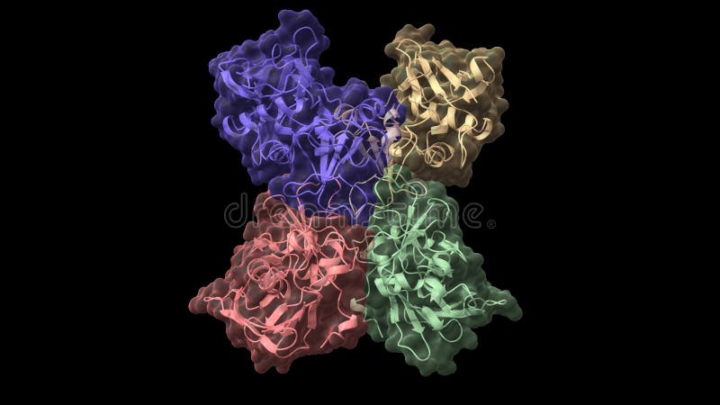 Structure of Streptococcal Pyrogenic Exotoxin A1 Stock Footage - Video ...