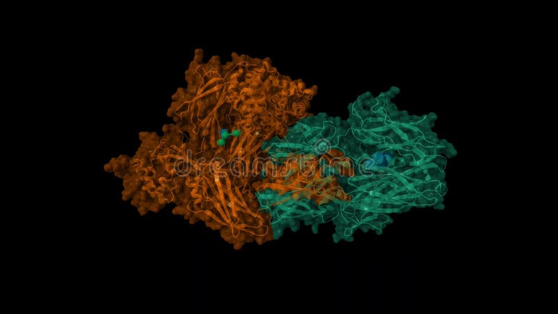 Structure of Human Complement C3 Stock Video - Video of spinning ...