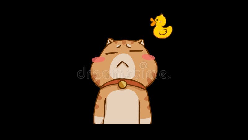 Animated Dizzy Cat with Transparent Background Stock Footage - Video of ...