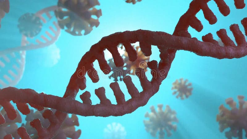 Animated DNA Chain Model. 3D Stock Footage - Video of chemistry ...
