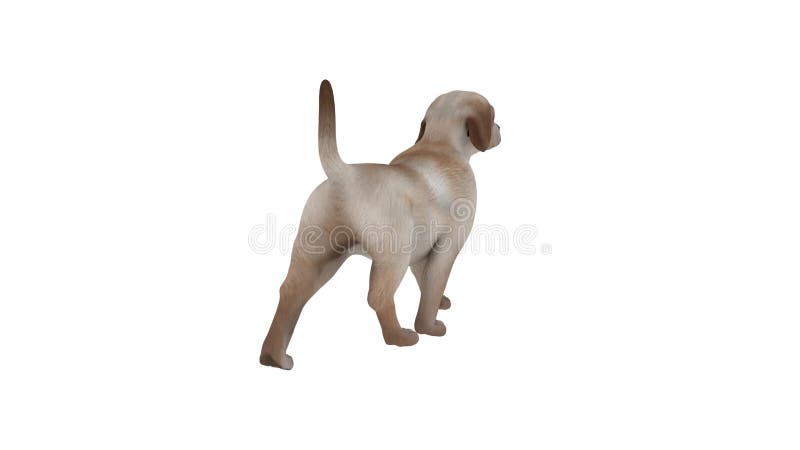 Animated Dog, Animated 3D Moving Model, Rotating, Full HD Stock Footage ...