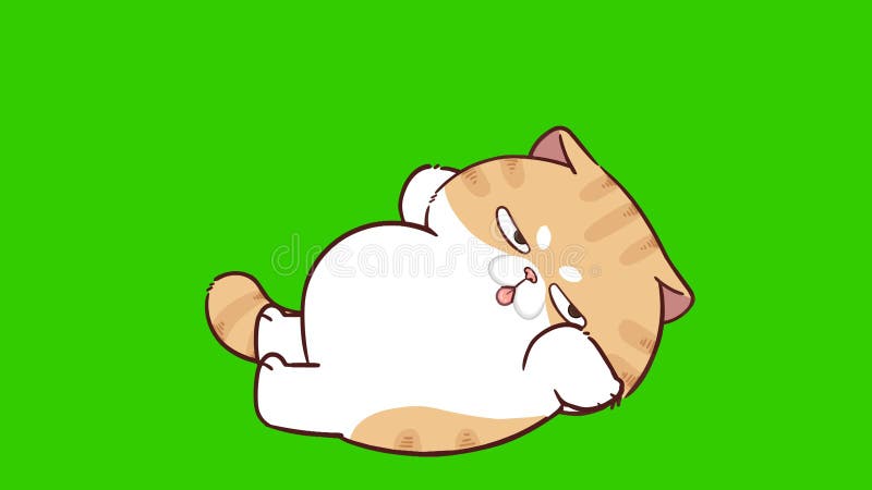 Animated Funny Cat Doing Sit-Ups - Green Screen Stock Video - Video of ...