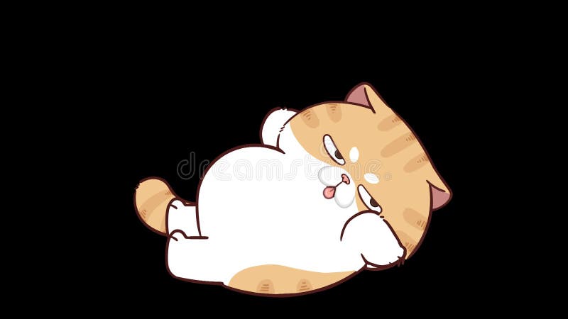Animated Funny Cat Doing Sit-Ups - Transparent Background Stock Video ...