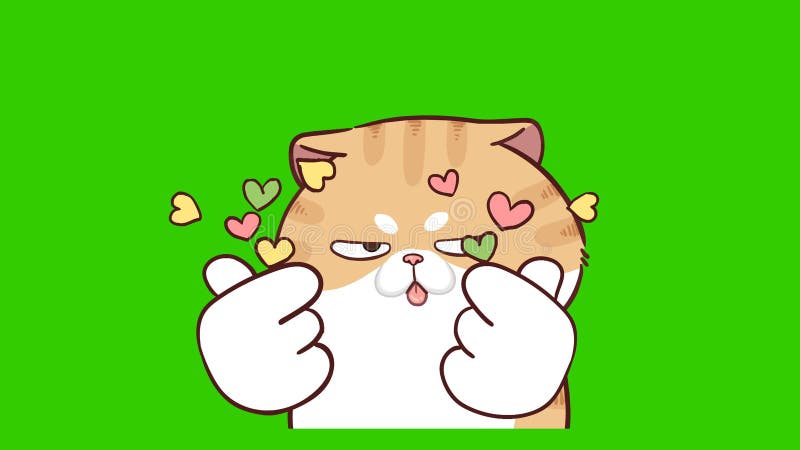 Animated Funny Cat Making Mini Heart Gesture - Green Screen Stock ...