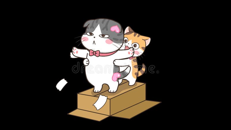 Animated Grey Cat As Titanic Scene - Transparent Background Stock Video ...