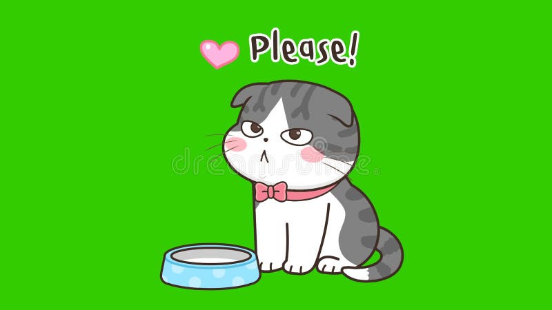 Animated Grey Cat Asking for Food Green Screen Stock Video - Video of ...