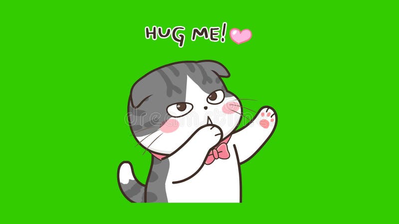 Animated Grey Cat Begging for a Hug on Green Screen Stock Footage ...