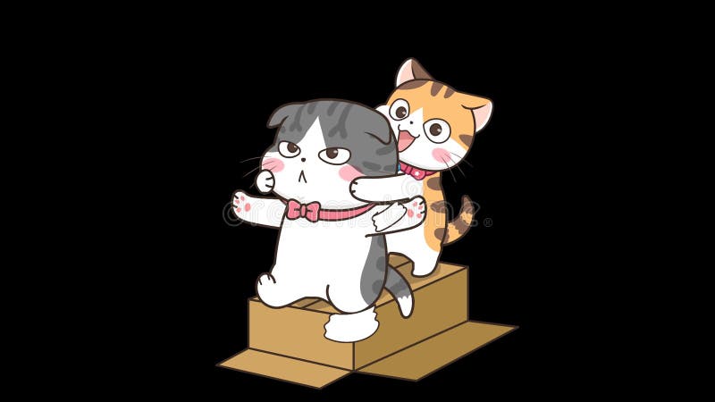 Animated Grey Cat Playing on a Box - Transparent Background Stock ...