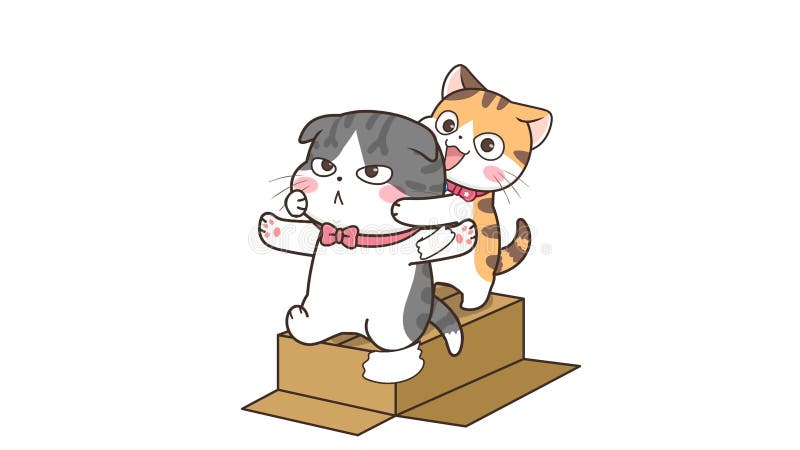 Animated Grey Cat Playing on a Box - White Background Stock Video ...