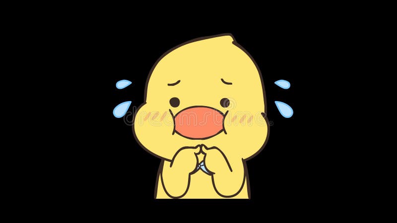 Animated Hesitant Little Duck on Transparent Background Stock Video ...