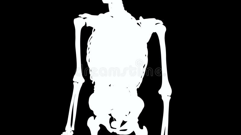 Animated Human Organs Over White Background with Alpha Channel Stock ...