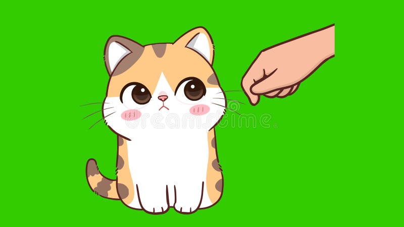 Animated Little Cat Getting Cheek Pinched - Green Screen Stock Video ...