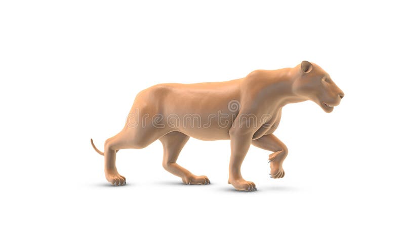 Lion Walking Animation Stock Illustrations – 28 Lion Walking Animation ...
