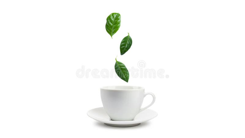 Tea Leaves Falling into Cup Stock Video - Video of leaves, drink: 130259393