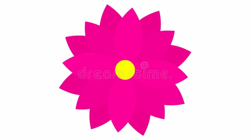 Animated Magenta Flower Blossoms. Vector Illustration Stock Video ...