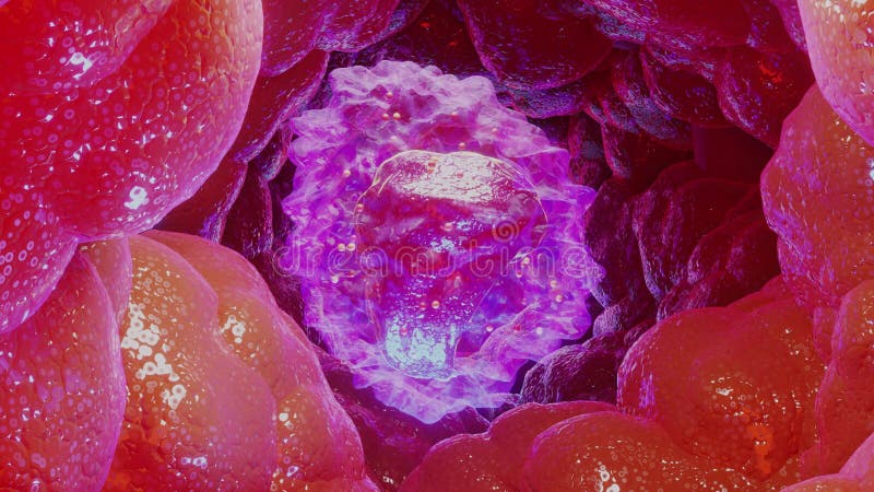 Animated Red Blood Cells stock video. Video of background - 218365695