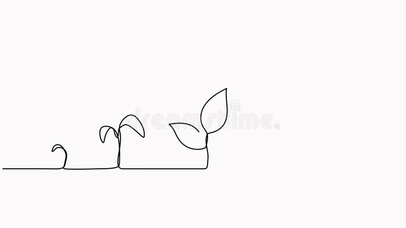Animated Plant Growth Process. Stock Footage - Video of cycle, outline ...
