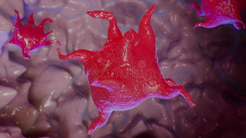 Animated Platelets, Blood Cell, 3d Stock Footage - Video of erythrocyte ...