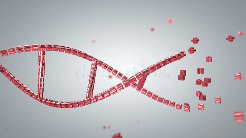 Animated Process of Constructing DNA Stock Footage - Video of medical ...