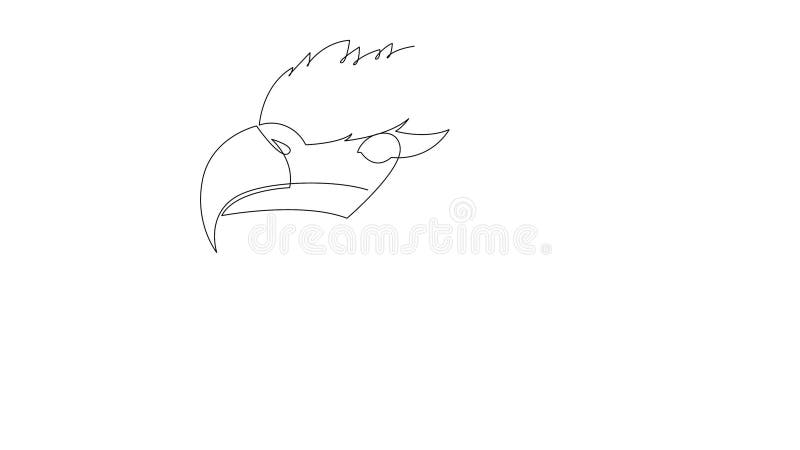 Animated Self Drawing of One Continuous Line Eagle Head. Hawk Mascot ...