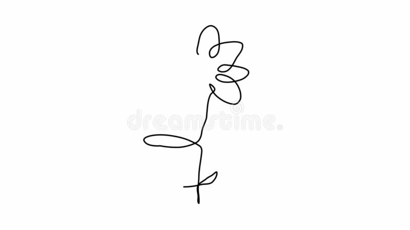 Animated Self Drawing Of Single Continuous Line Draw For A Beautiful